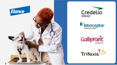 Banfield Shop | Pet Online Pharmacy, Health & Wellness Products