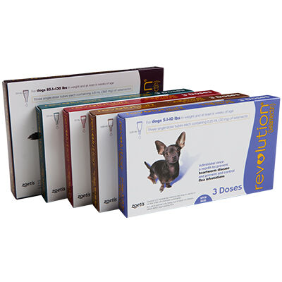 Prescription Heartworm Prevention Medication for Dogs